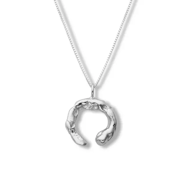 EVA REMENYI Talisman Fortune Necklace - Silver