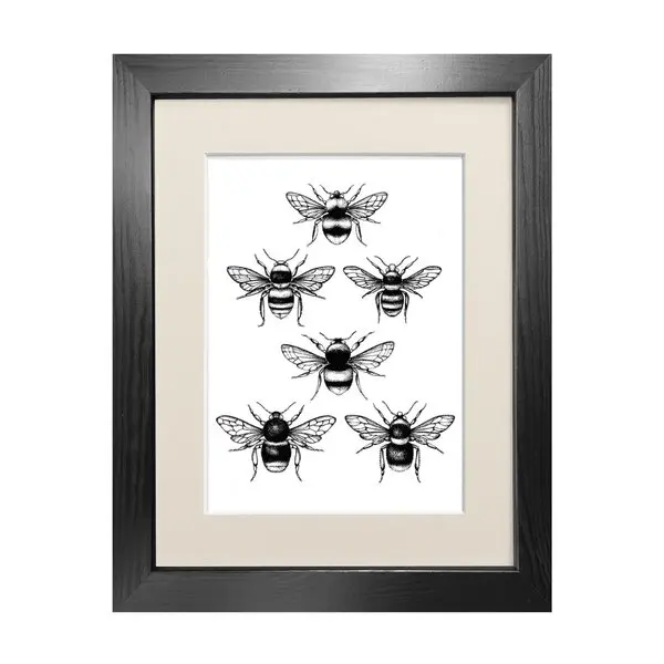 EMILY CARTER British Bees' Fine Art Print A5 - Black