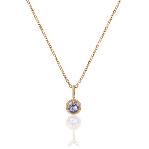 A WEATHERED PENNY Gold Plated February Birthstone Necklace - Gold/yellow