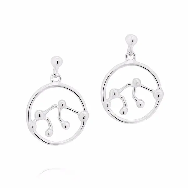YASMIN EVERLEY JEWELLERY Aquarius Astrology Drop Stud Earrings - Silver