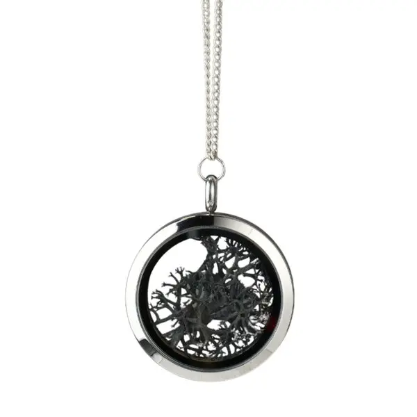 MY LITTLE NATURE Necklace With Natural Black Moss - Black/silver