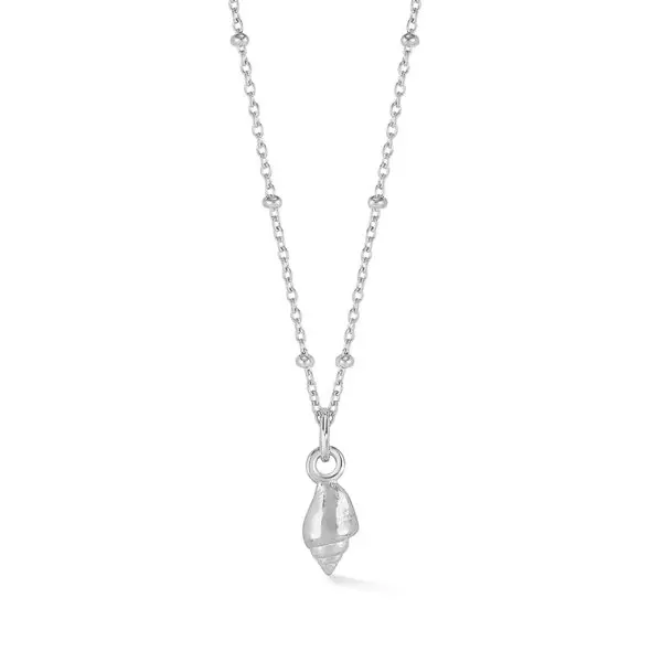 DOWER & HALL Seashell Pendant Sterling Necklace - Silver