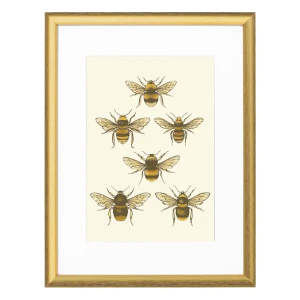 EMILY CARTER British Bees' Fine Art Print A5 Colour - Gold