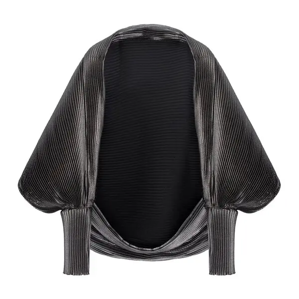 SILVIA SERBAN Pleated Voile Scarf-shawl - Silver