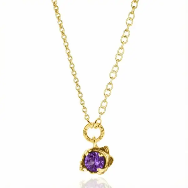 UNALOE Gold Vermeil Necklace With Purple Zirconia - Gold/purple