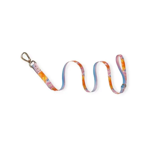 MAKPAWS Aurora Dog Leash - Blue
