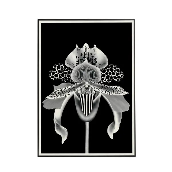 ABI OVERLAND JERSEY Neutrals Orchidia L - Black