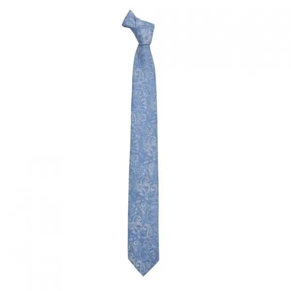 DAVID WEJ Paisley Print Necktie - Blue/white