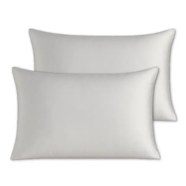 HI SILK Mulberry Silk Housewife Pillowcase Set Of Two Twenty Five Momme - Silver