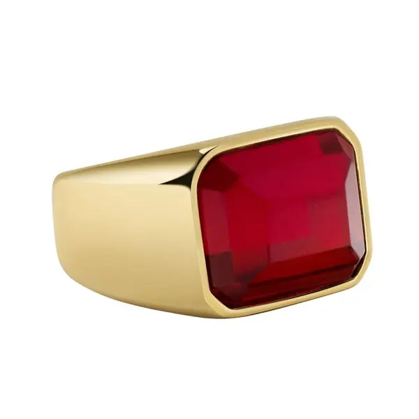 NIALAYA JEWELRY Red Zircon Signet Ring In Gold - Red/gold