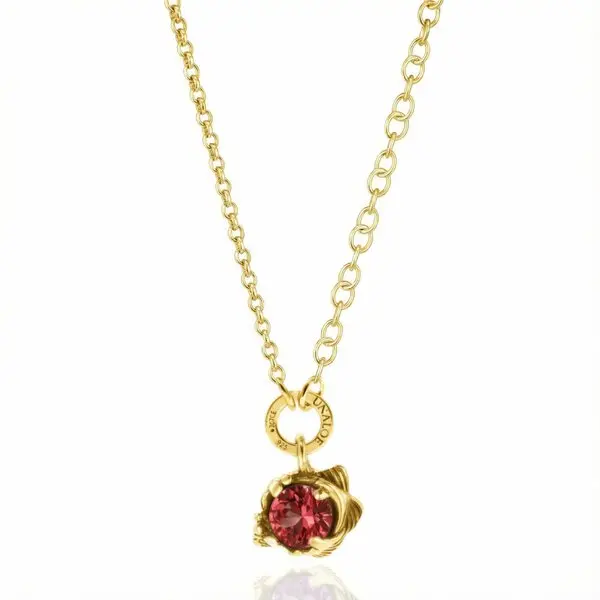UNALOE Gold Vermeil Necklace With Red Zirconia - Gold/red
