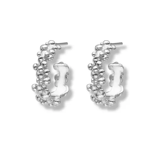 EVA REMENYI Céleste Deux Small Hoop Earrings - Silver