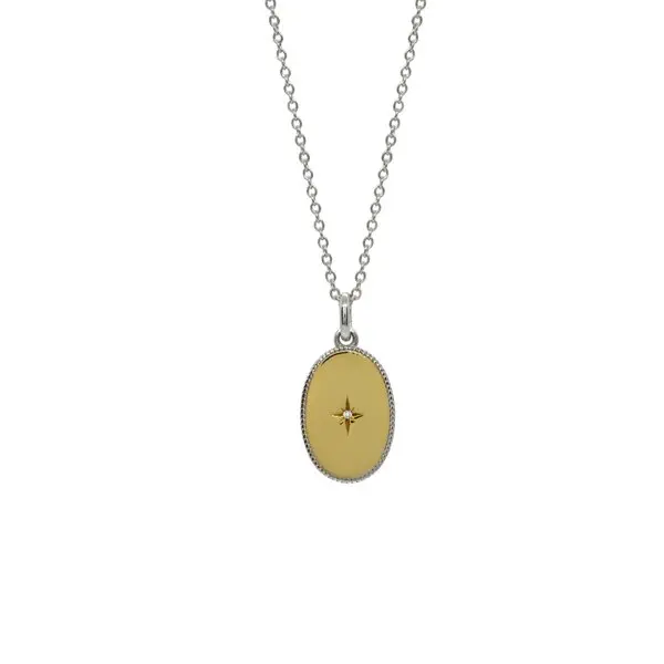 JANUS EDINBURGH Oval Star Shield Reversible Silver Necklace - Gray