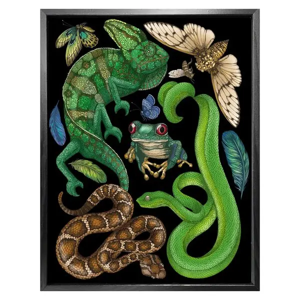 EMILY CARTER Antique Reptiles & Amphibians Fine Art Print A4 - Black
