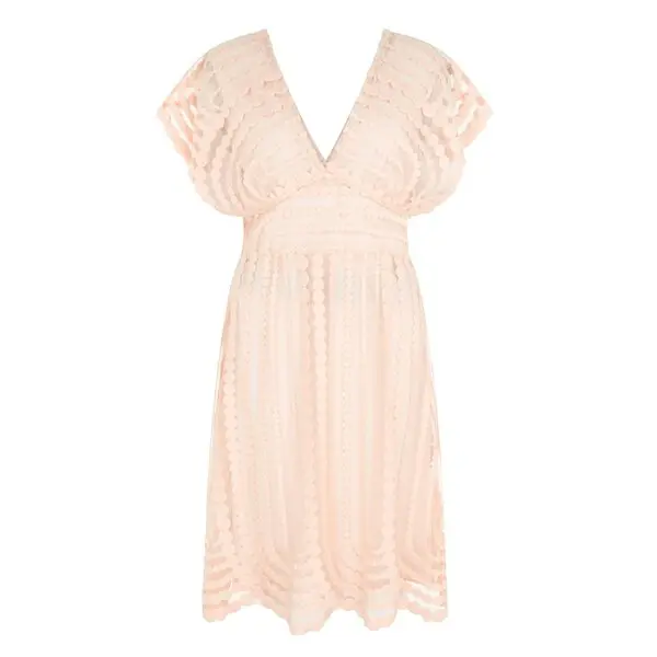 LISA THE LABEL Cappuccino Embroidered Tulle Dress