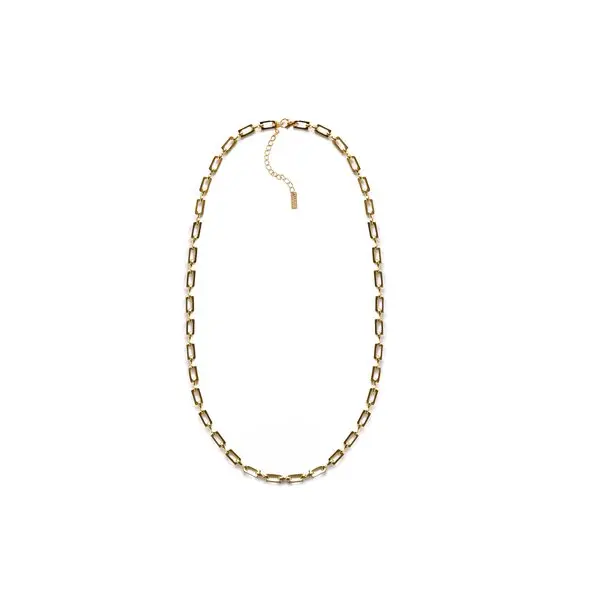 ADRIANA PAPPAS DESIGNS Long Rectangle Chain Necklace - Gold