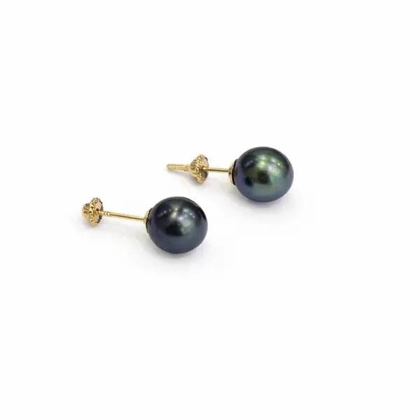 PEARL CODE Freshwater Pearl Stud Earrings In Gold