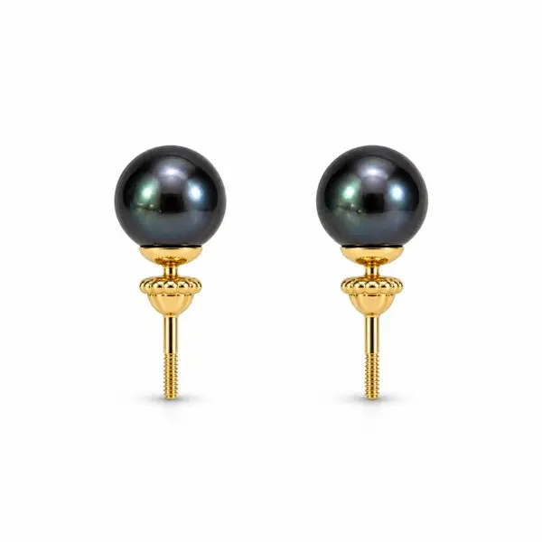 PEARL CODE Freshwater Pearl Stud Earrings In Gold - Black/gold