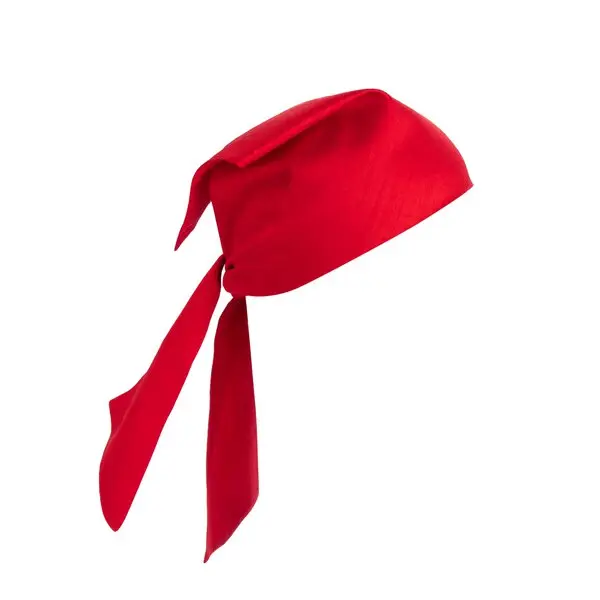 SIBI HATS Silk Bandana Strapless Top - Red