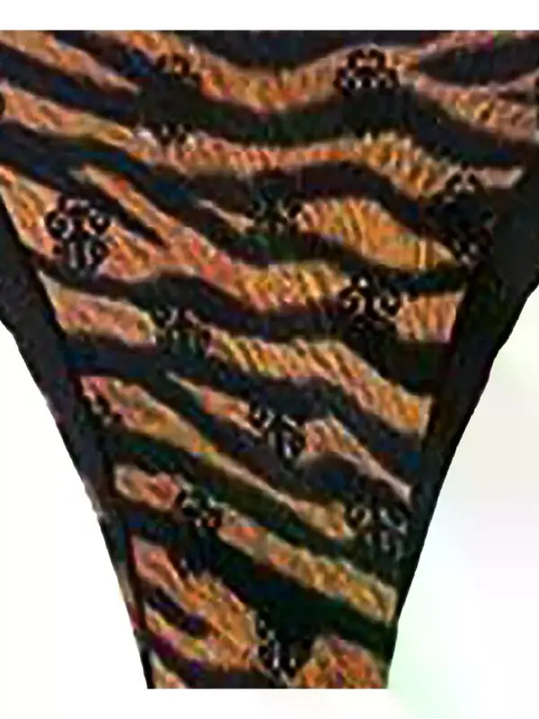 Chrome Hearts X Dib Tiger-print Bikini Bottoms