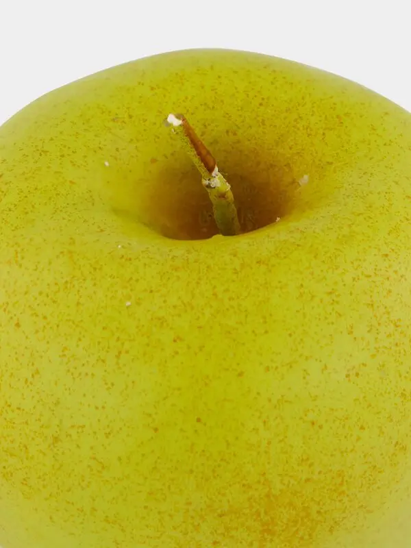 CERERIA INTRONA Apple Wax Candle