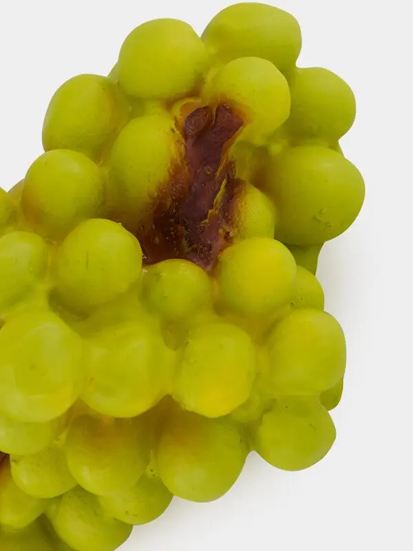 CERERIA INTRONA Grapes Wax Candle