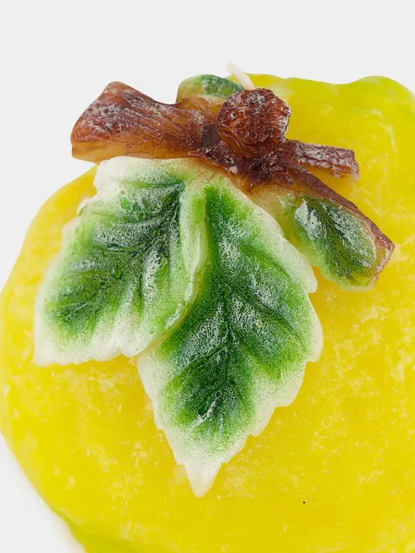 CERERIA INTRONA Lemon Wax Candle