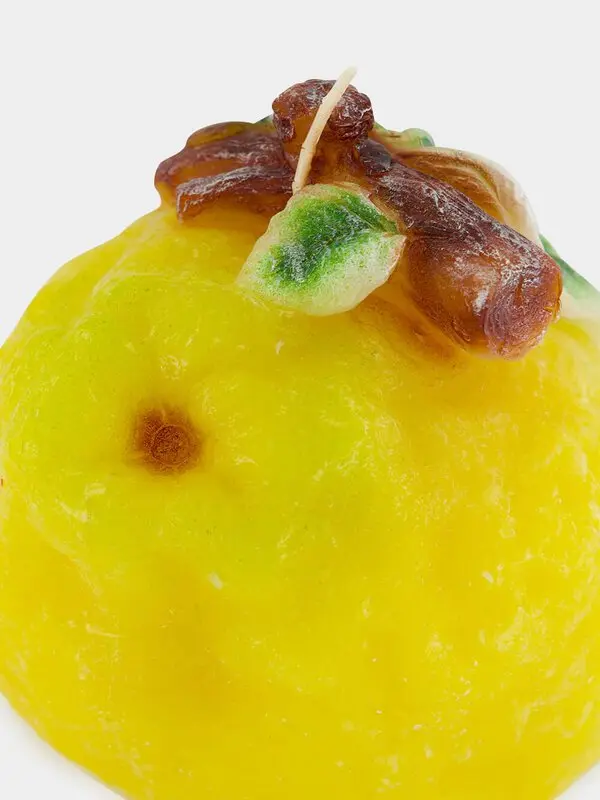 CERERIA INTRONA Lemon Wax Candle