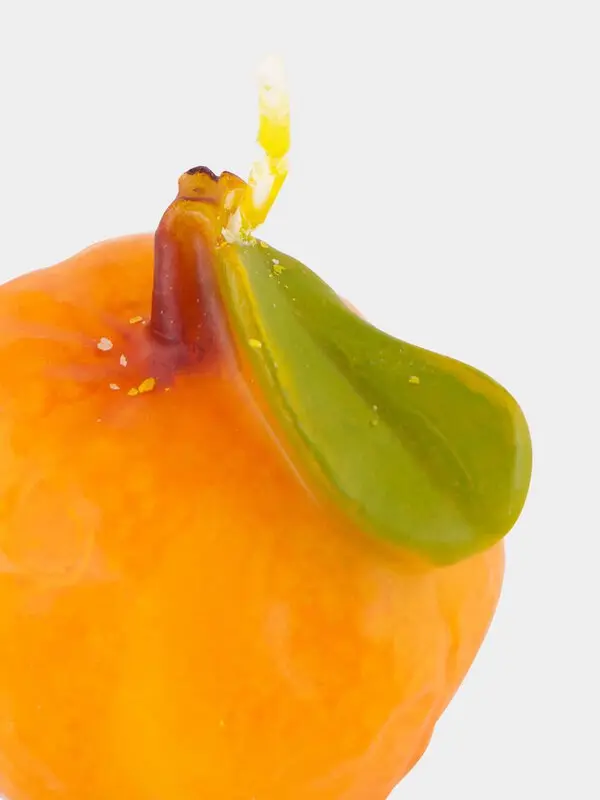 CERERIA INTRONA Mandarin Wax Candle