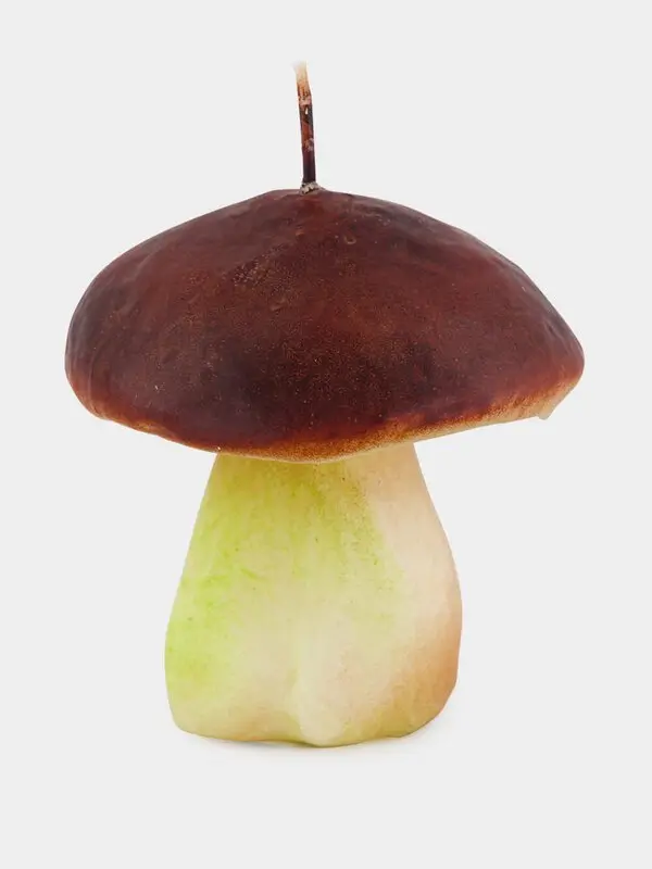 CERERIA INTRONA Medium Mushroom Wax Candle - Brown