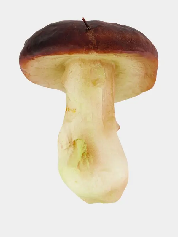 CERERIA INTRONA Giant Mushroom Wax Candle - Brown