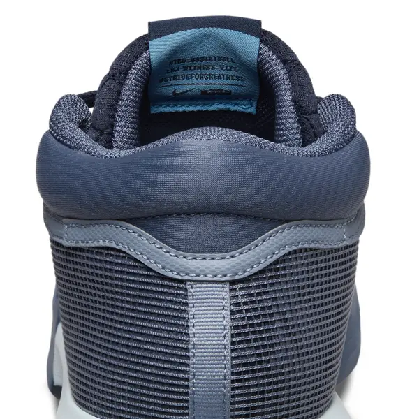 Nike Lebron Witness Basketball Shoes - Blue