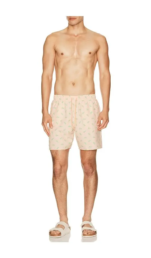Lacoste Swim Short - Angie