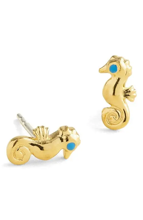 Madewell Demi-fine Seahorse Stud Earrings - 14k Gold