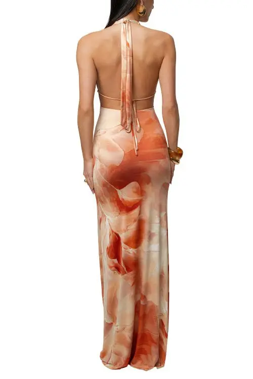 JLUXLABEL Floral Blossom Print Maxi Dress - Orange