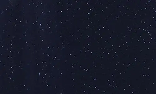 SL FASHIONS Rhinestone Detail Glitter Mesh Gown - Navy