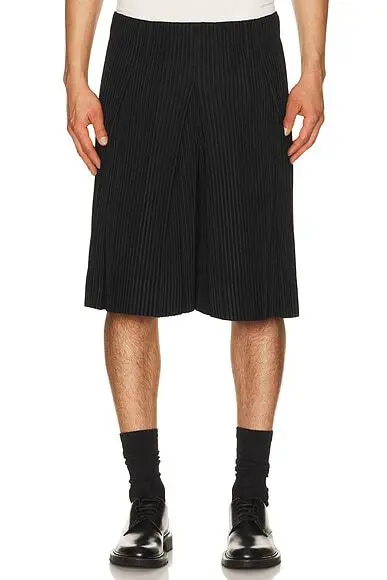 Issey Miyake Tailored Pleats Pants