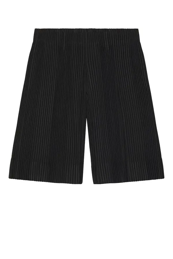 Issey Miyake Tailored Pleats Pants