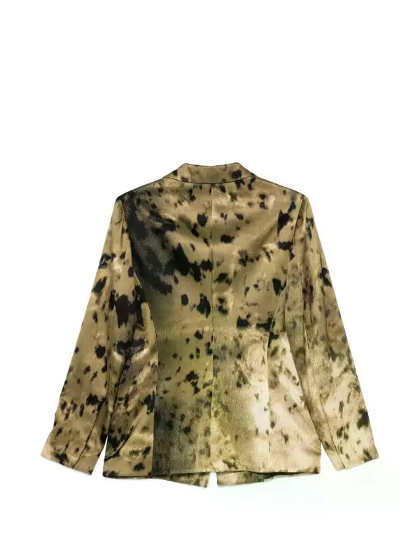 Roberto Cavalli 2000s Animal-print Blazer - Green