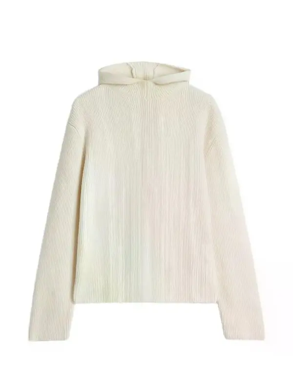 JIL SANDER X Moncler Wool Hoodie