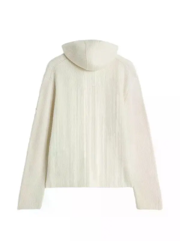 JIL SANDER X Moncler Wool Hoodie