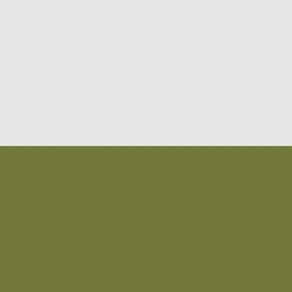 SUMMERILL & BISHOP Linen Stripe Napkin - Green