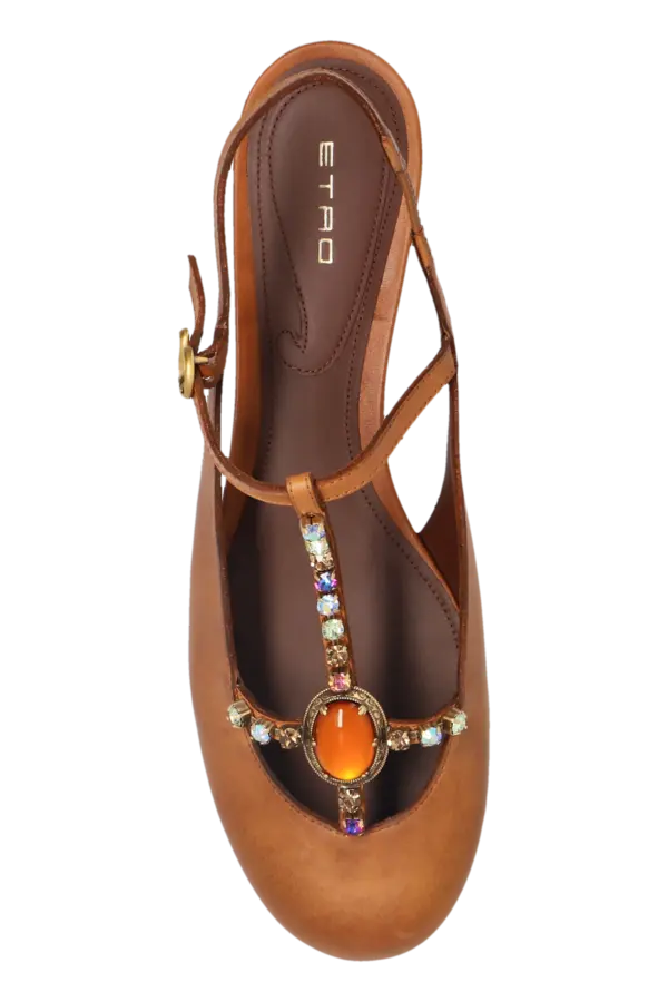 Etro Leather Ballerinas With Appliqués - Brown