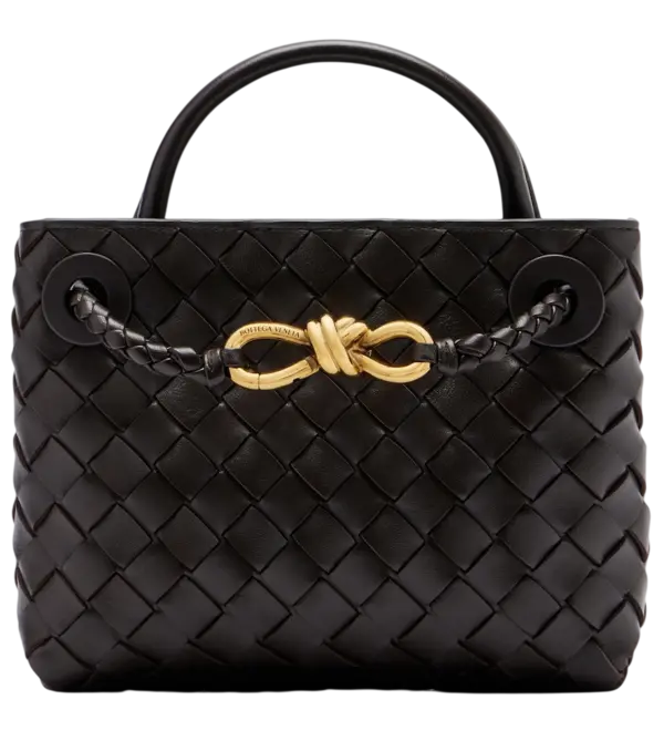 Bottega Veneta Andiamo Mini Woven Leather Bag - Brown
