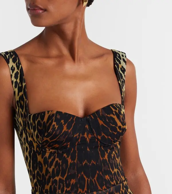 Alex Perry Leopard-print Mesh Gown
