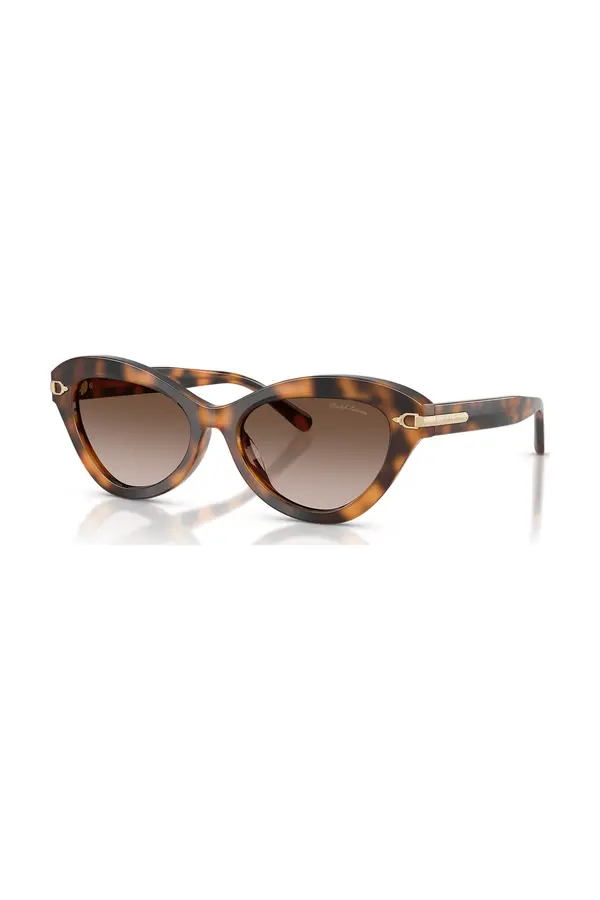 Ralph Lauren Rl8236u Sunglasses - Brown