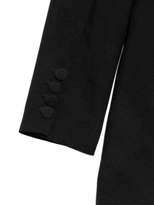 CENERE GB Long-sleeve Buttoned Blazer