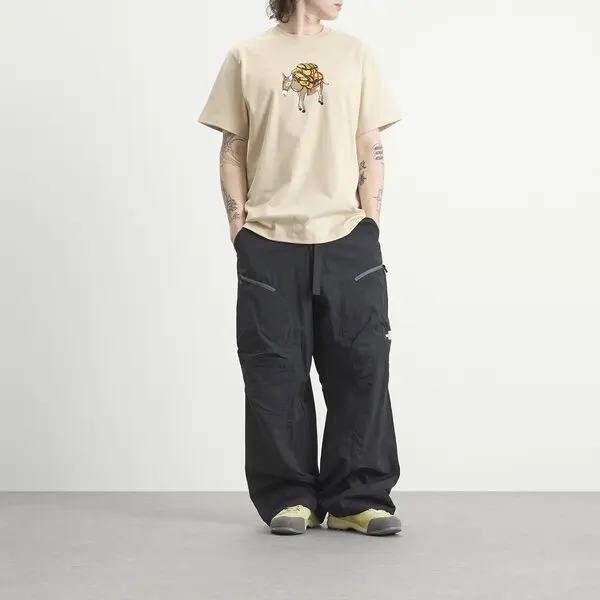 The North Face Donkey Taxi Relaxed T-shirt - Desert Stone