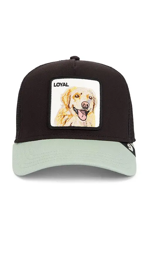 GOORIN BROS The Loyal Dog Trucker Hat - Black