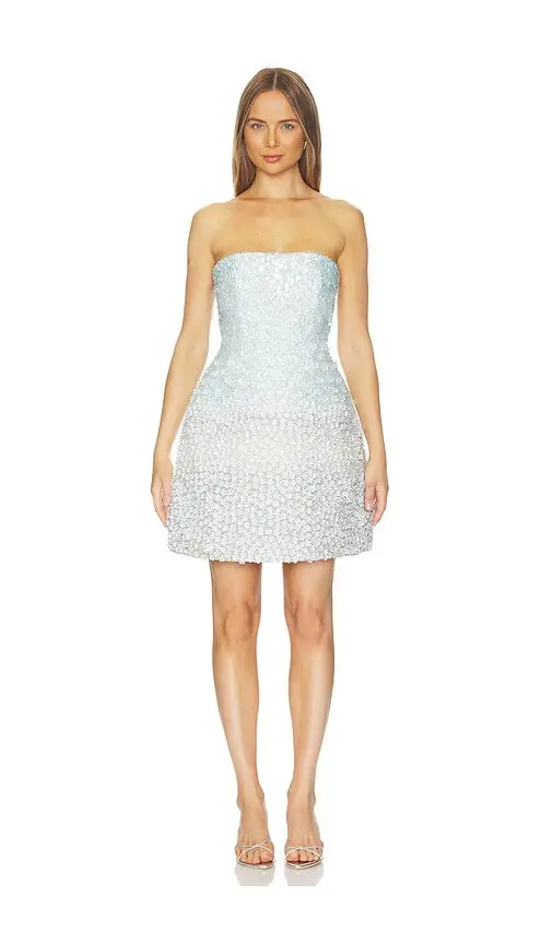 LA FUORI Mystical Garden Embroidered Dress